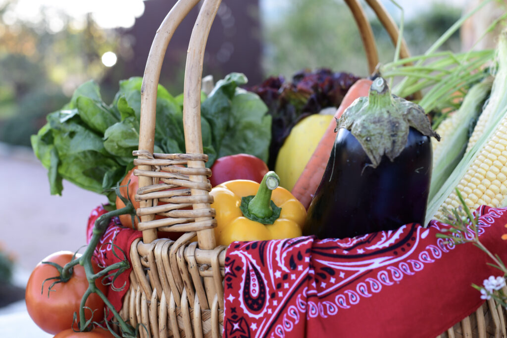 Expanded Food and Nutrition Education Program (EFNEP) - Texas A&M ...